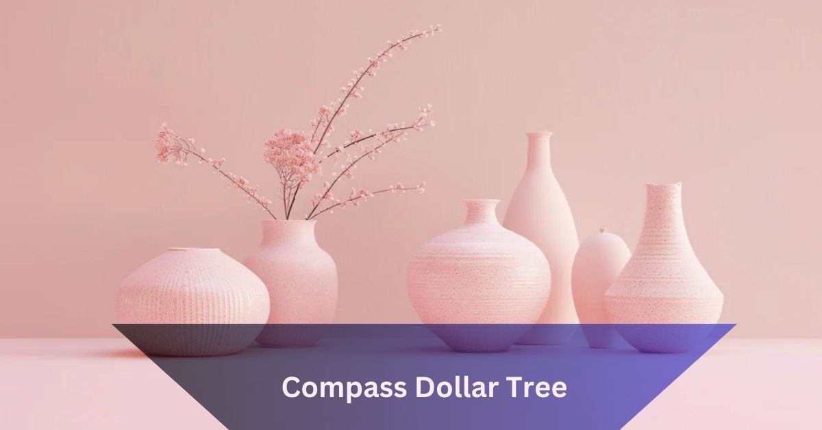 Compass Dollar Tree – Your Ultimate Destination for Affordable Essentials!